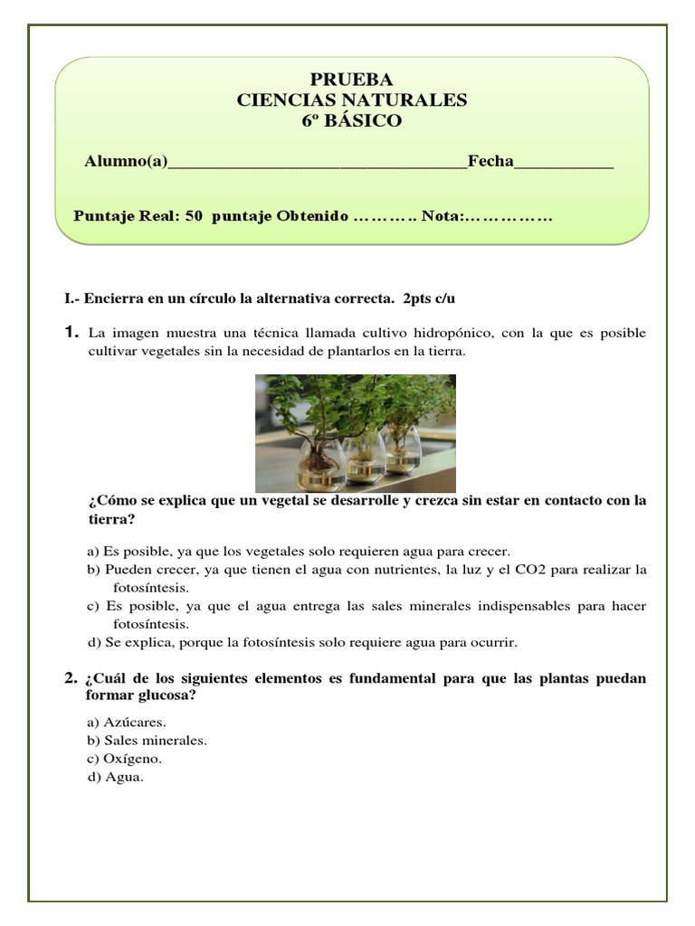 6º Básico Ciencias | PDF | Temperatura | Calor