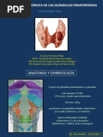 Principales Signos Abdominales | PDF | Tracto gastrointestinal | Abdomen