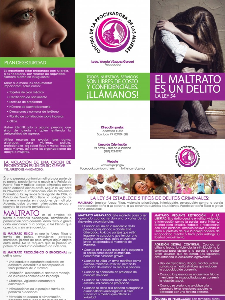 Delitos de Violencia Doméstica en PR | PDF | Violencia | Abuso infantil