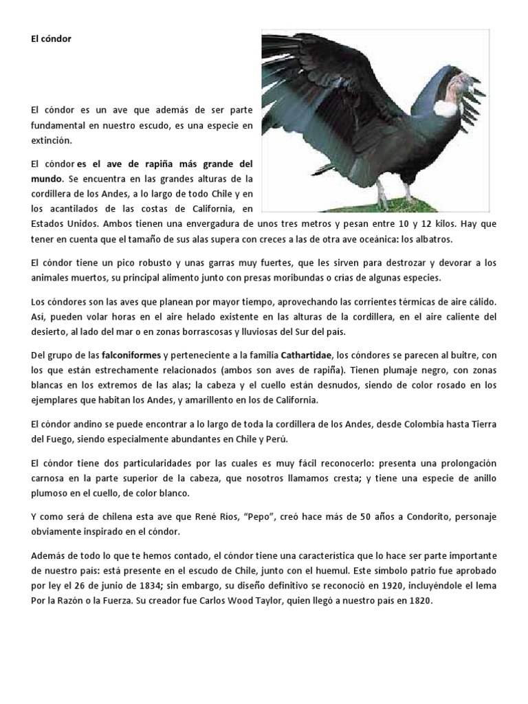 El Cóndor | PDF