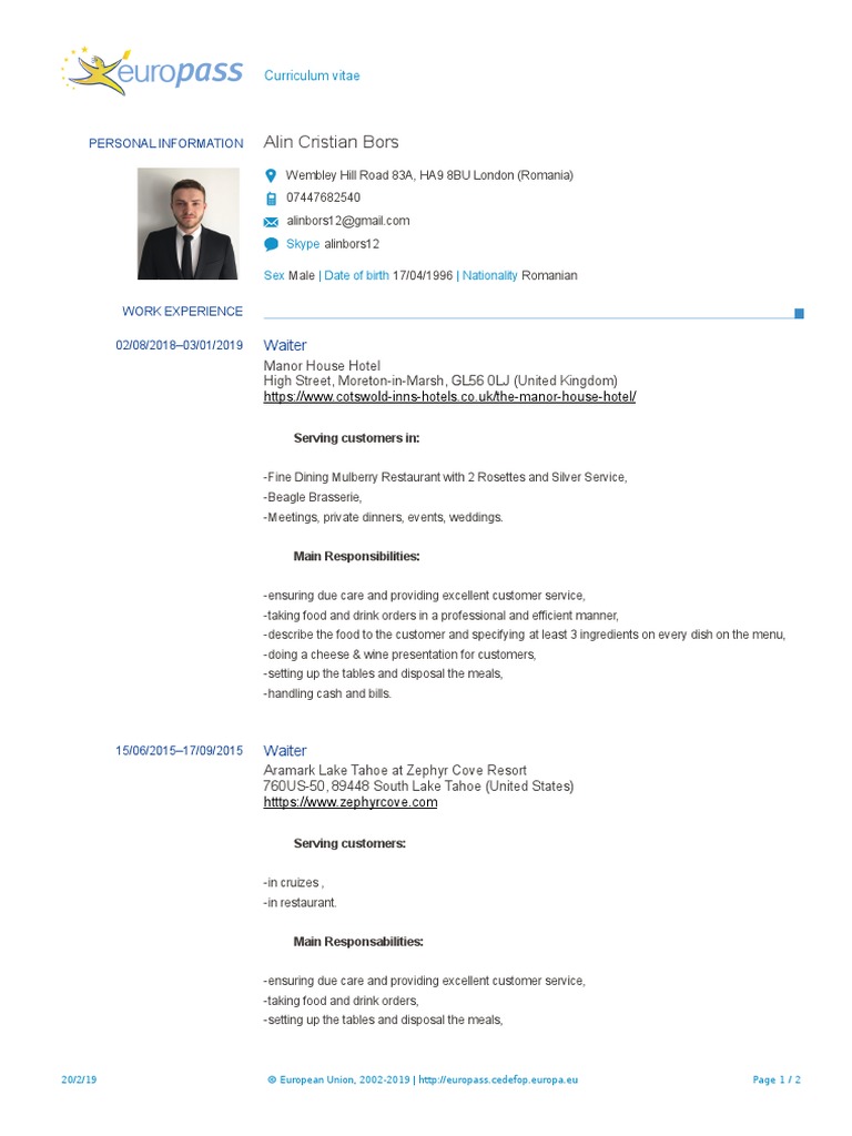 CV - Bors Alin Cristian | PDF | Cognition | Learning