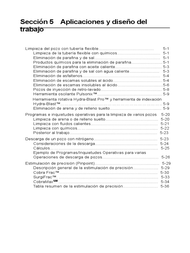 Coiled Tubing Handbook - Sec 05 (Spanish) | PDF | Ácido | Petróleo
