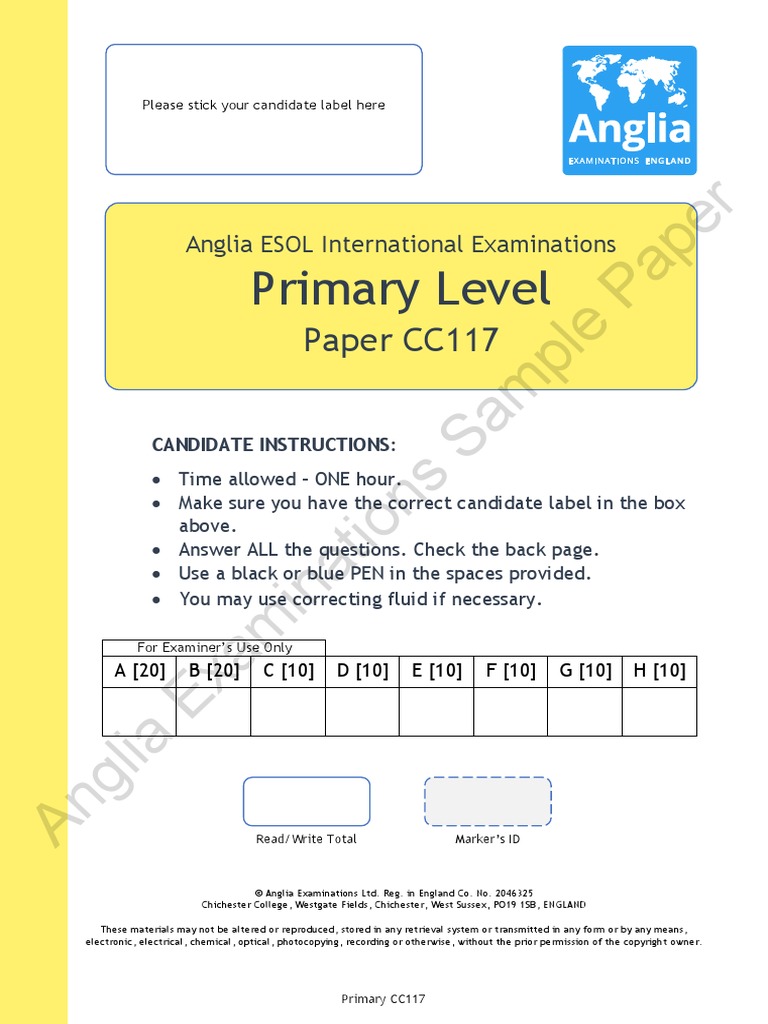 Sample Paper: Primary Level | PDF