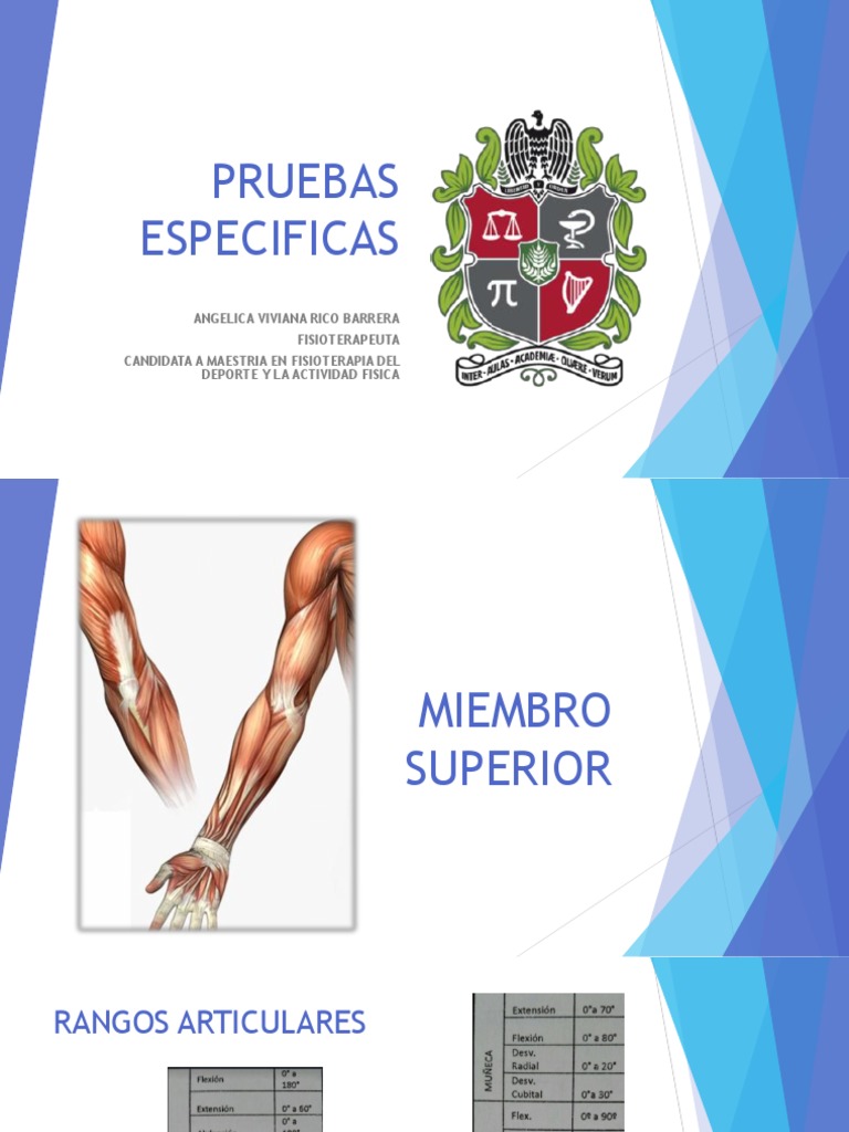Pruebas Especificas de Miembro Superior | PDF | Hombro | Codo