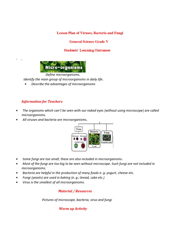Lesson Plan of Viruses | PDF | Microorganism | Decomposition