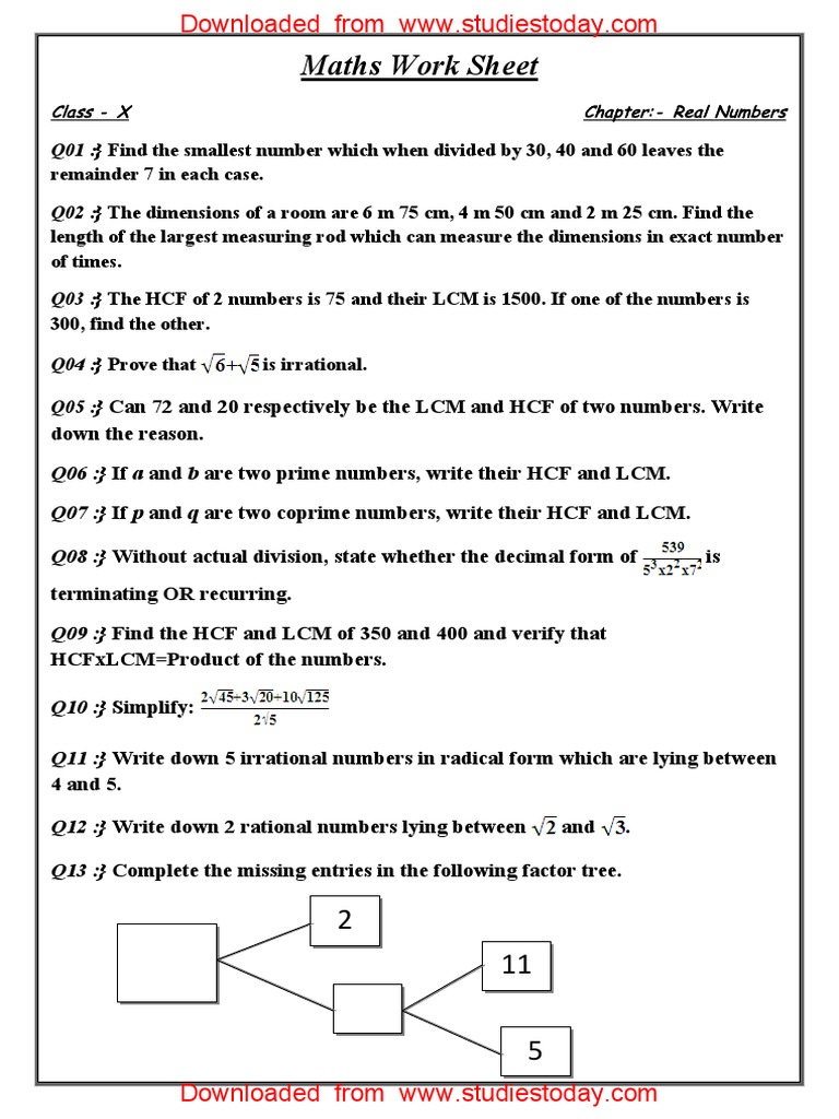 Real Numbers Math Worksheet with 25 Problems Covering Prime ...