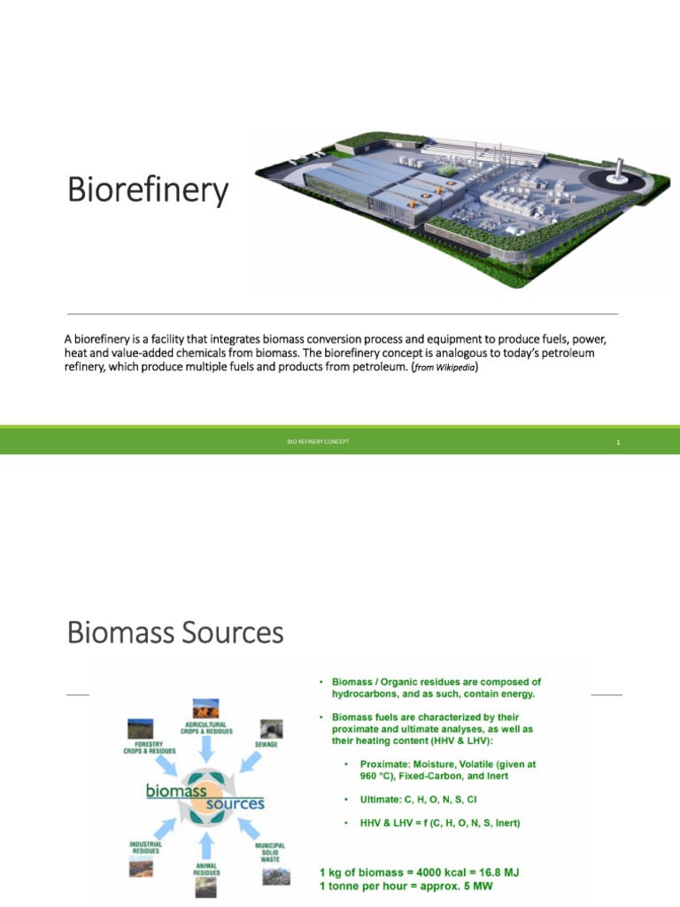 Biorefinery Concept | PDF