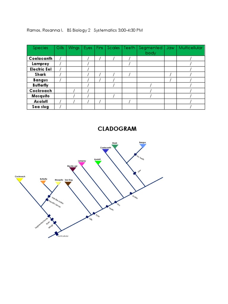 Cladogram: Coelacanth Lamprey Electric Eel Shark Bangus Butterfly ...