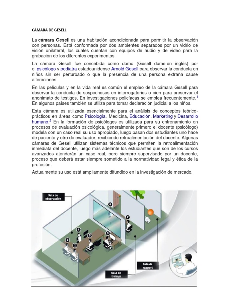 Uso y Aplicaciones de la Cámara Gesell | PDF | Relaciones personales ...