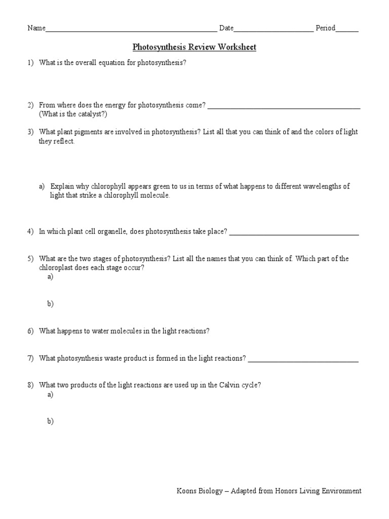 Photosynthesis Review Worksheet | PDF | Photosynthesis | Chloroplast