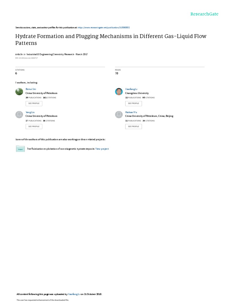 Hydrate Formation and Plugging Mechanisms in Different Gas-Liquid Flow ...