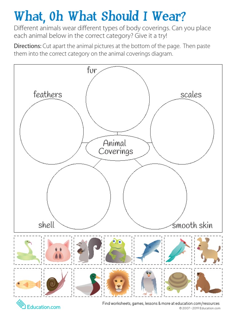 Animal Body Coverings | PDF