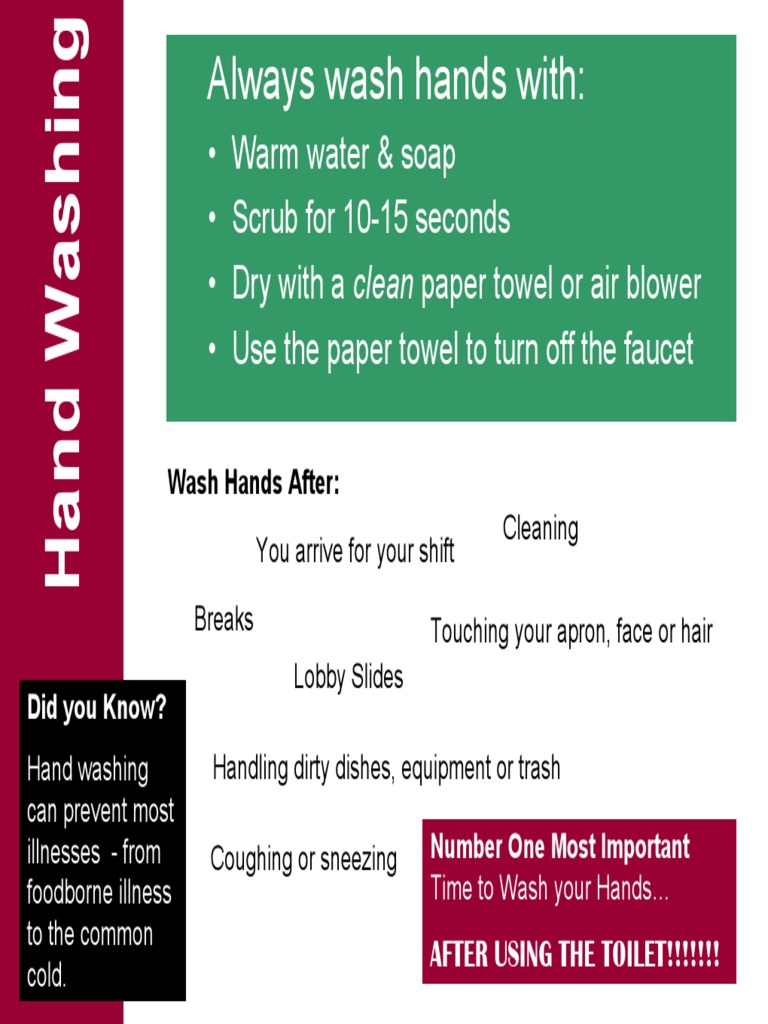 Starbucks Cleanliness Standards - Job Aid - Hand Washing PDF | PDF