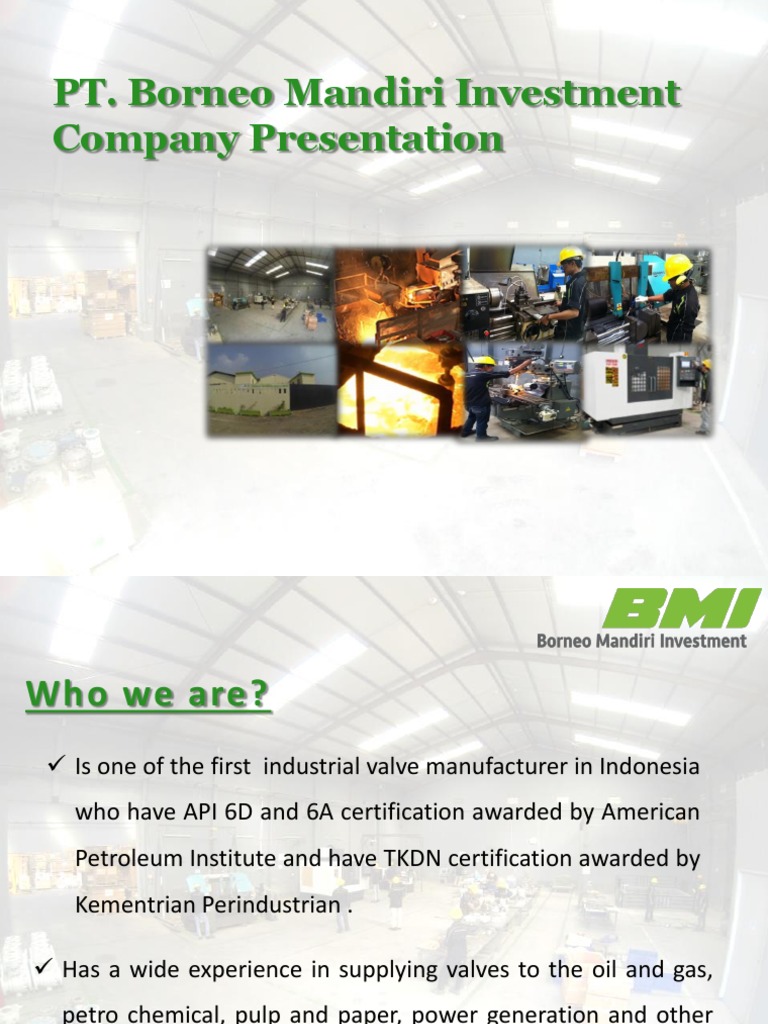 PT BMI Presentation-17.02.2016 | PDF | Valve | Occupational Safety And ...