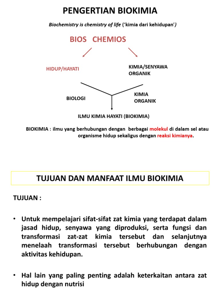 BIOKIMIA | PDF