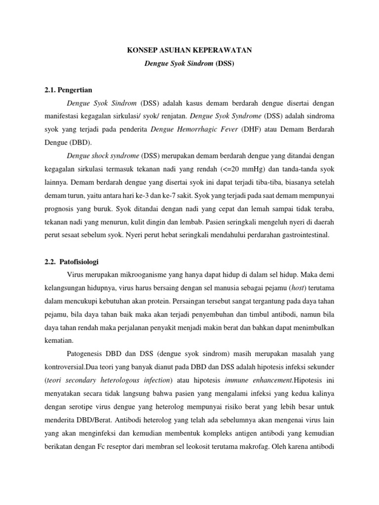 Konsep Asuhan Keperawatan Dss | PDF
