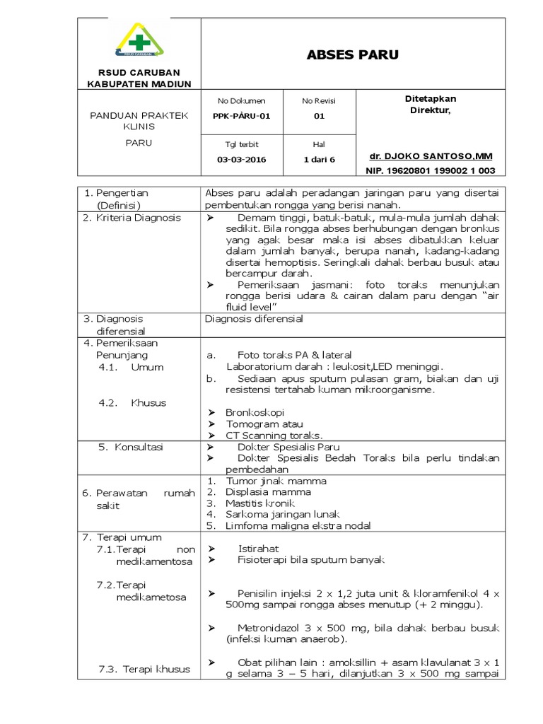 PPK - Abses Paru | PDF