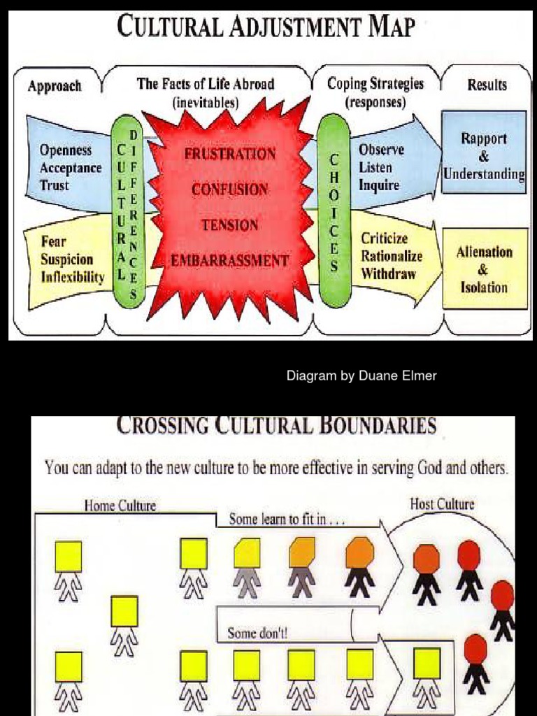 Culture Shock Diagram by Elmer | PDF