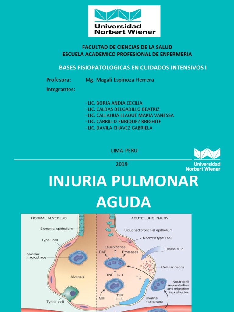 Injuria Pulmonar Aguda: Fisiopatología y Tratamiento | PDF ...
