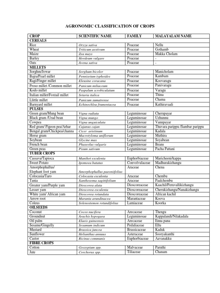 Agronomic Classification of Crops | PDF | Bean | Ginger
