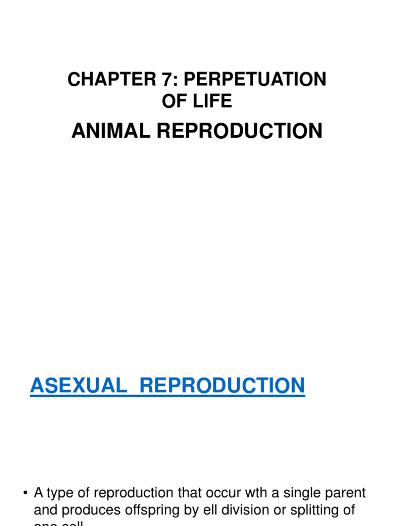 Chapter 7: Perpetuation of Life: Animal Reproduction | PDF | Genetics ...