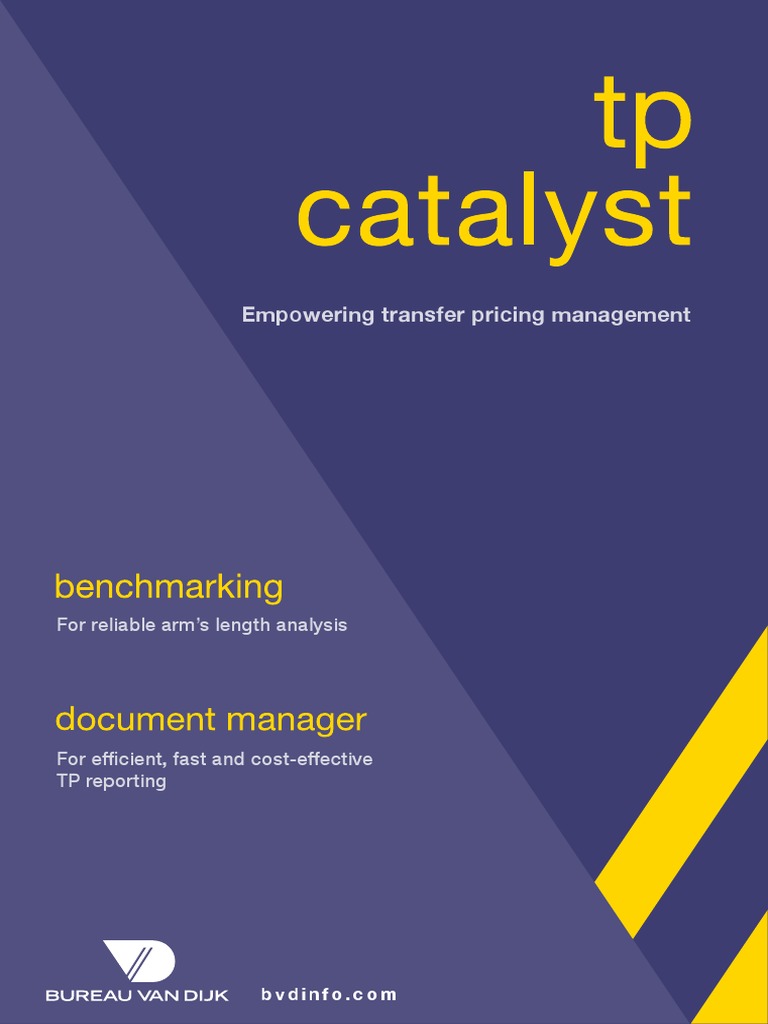Transfer Pricing Catalyst | PDF | Business | Economies