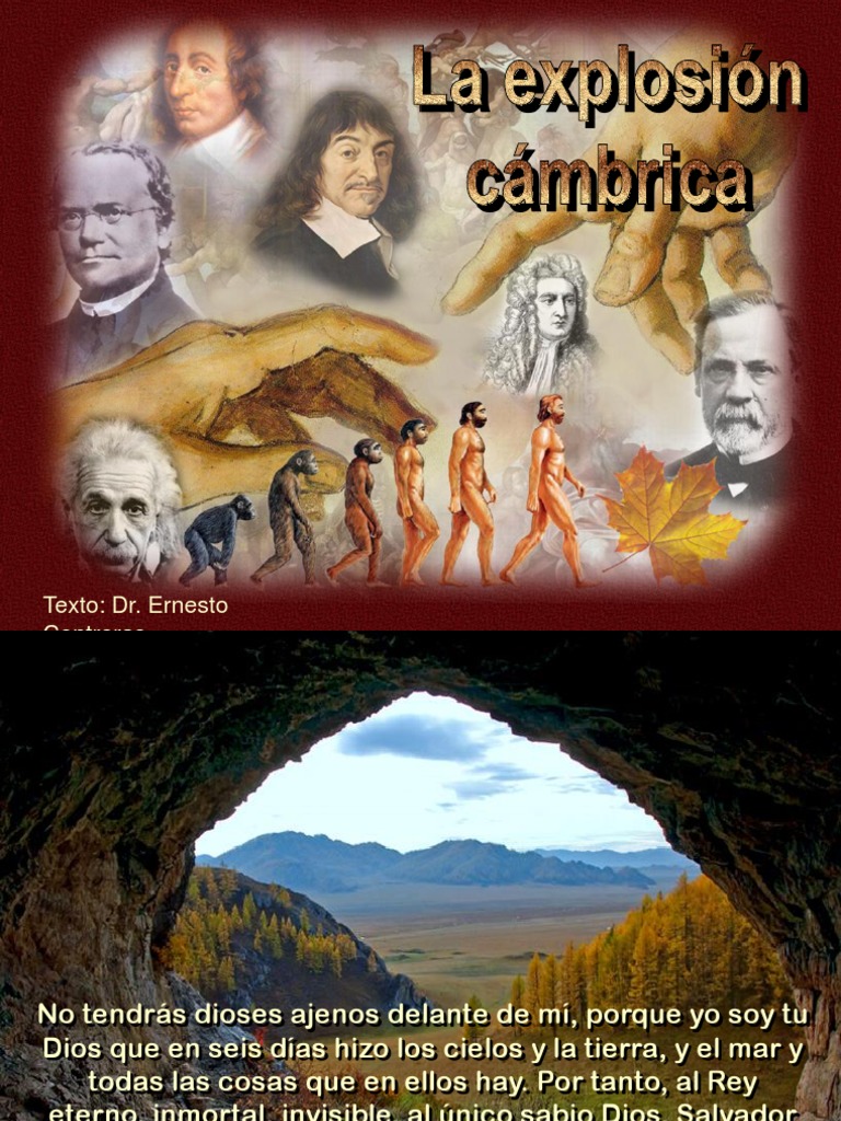 La Explosion Cambrica | PDF | Fósil | Plantas