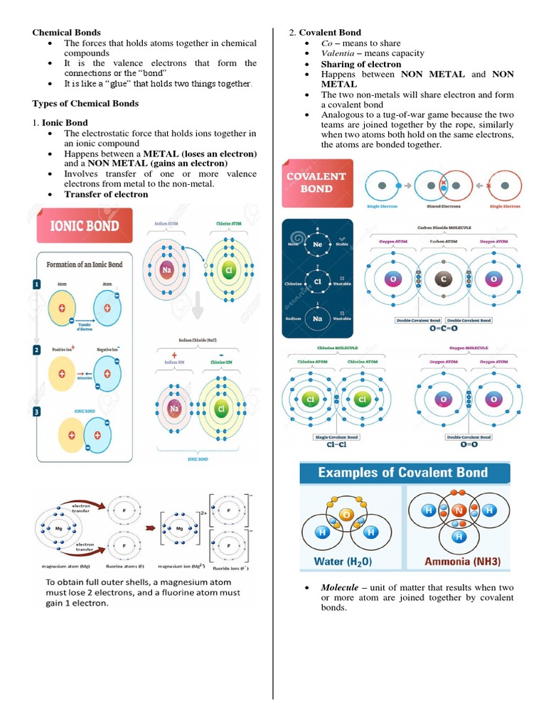 Orca Share Media1569313999511 | PDF | Covalent Bond | Chemical Bond