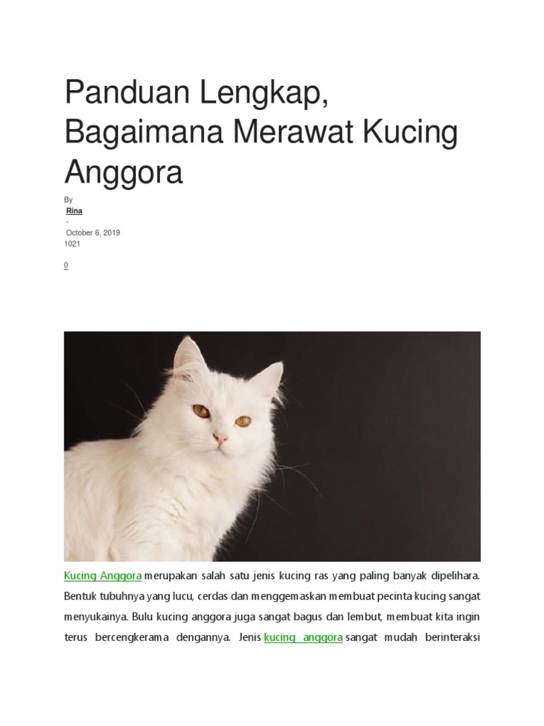 Panduan Lengkap Merawat Kucing | PDF
