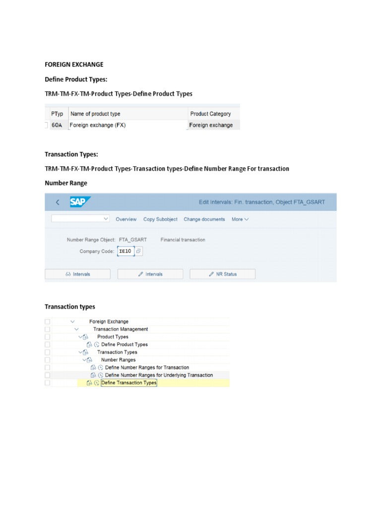 SAP Foreign Exchange Configuration Guide | PDF