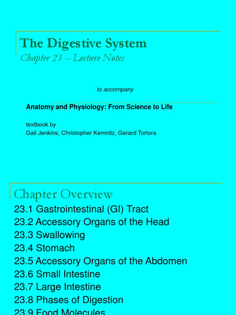 The Digestive System: Chapter 23 - Lecture Notes | PDF ...