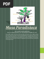 Diagram dan Rumus Bunga Kembang Sepatu | PDF | Seni & Disiplin Bahasa