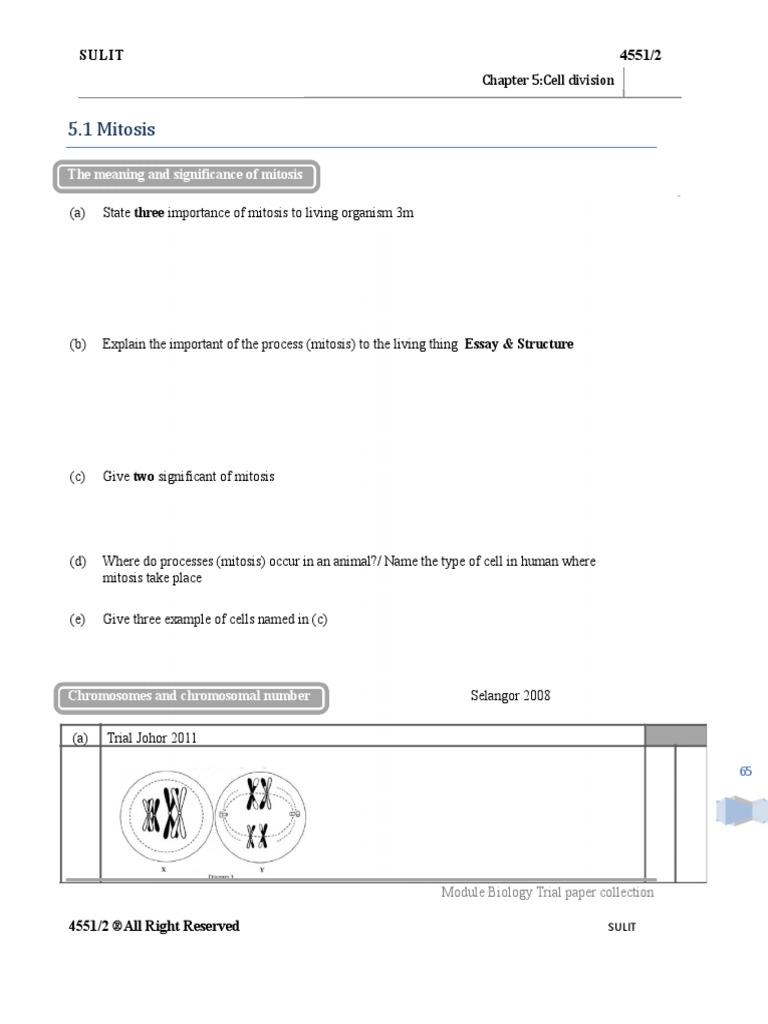 Meiosis BIOLOGY Form 4 Chapter 5 Cell Division | PDF | Meiosis | Ploidy