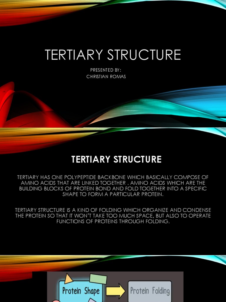 Understanding Tertiary Protein Structure | PDF