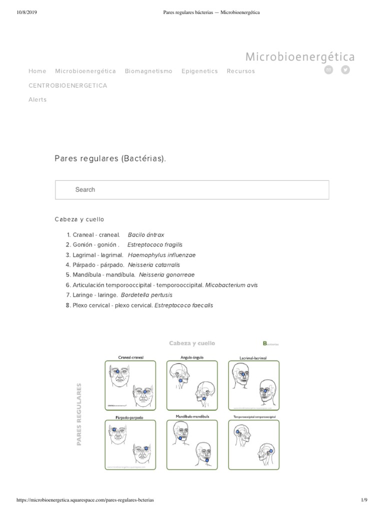 Rama Isquiática y Biomagnetismo | PDF | Intestino grueso | Riñón