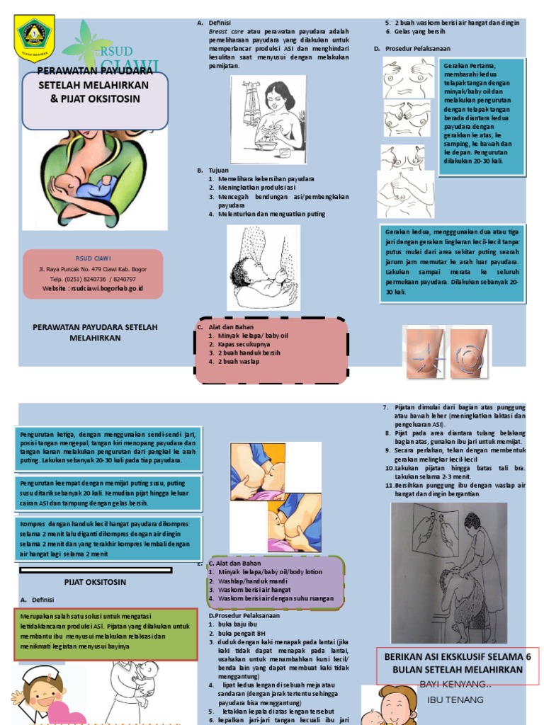 Leaflet Pijat Oksitosin | PDF