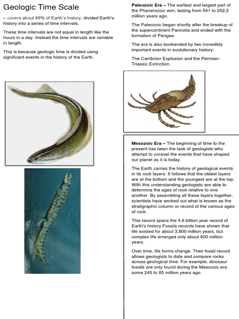 Geologic Time Scale | PDF | Geologic Time Scale | Global Natural ...