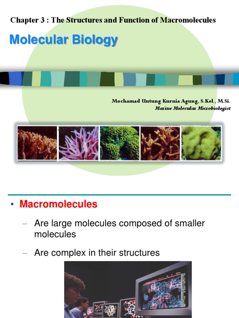Molecular Biology: Chapter 3: The Structures and Function of ...