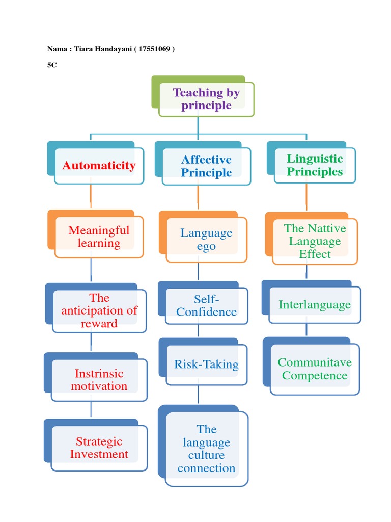 Teaching by Principle | PDF