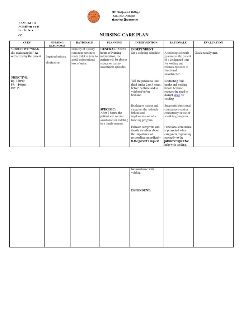 Nursing Care Plan: Impaired Urinary Elimination | PDF | Urinary ...