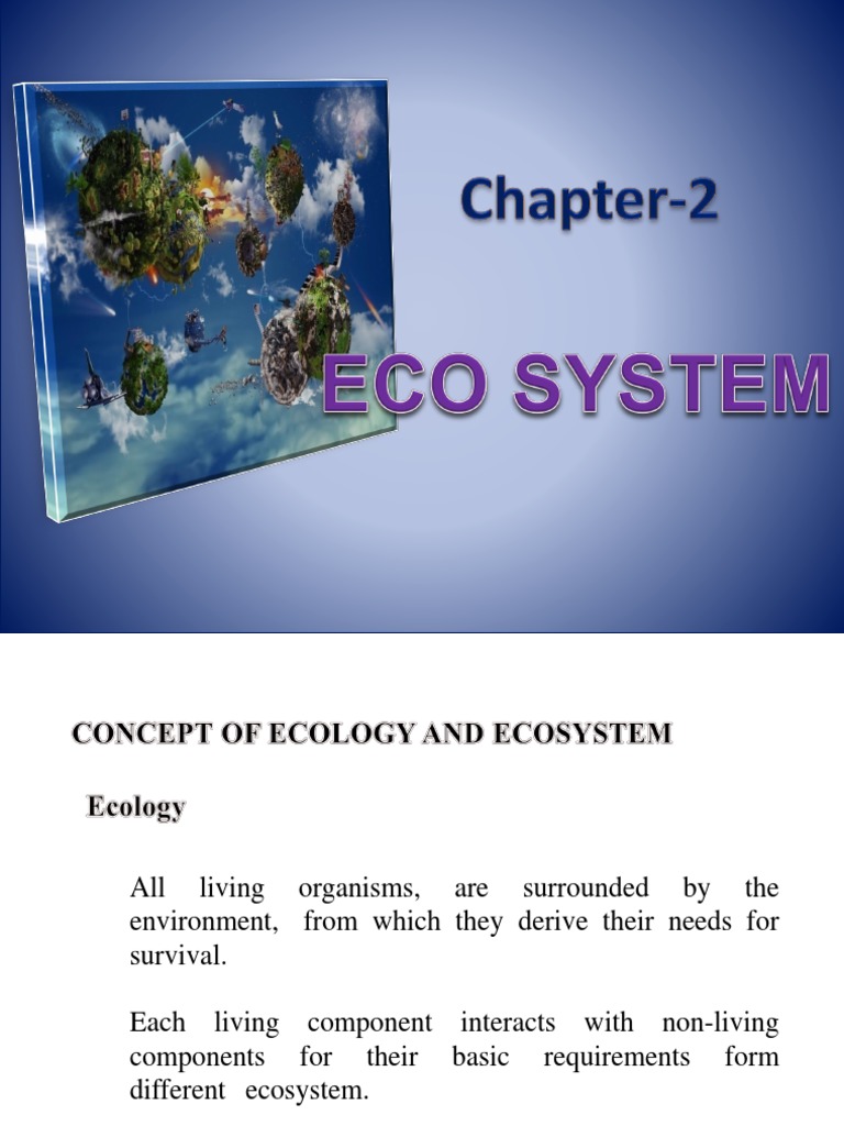 EVS CHAP 2 Ecosystem | PDF | Ecosystem | Aquatic Ecosystem