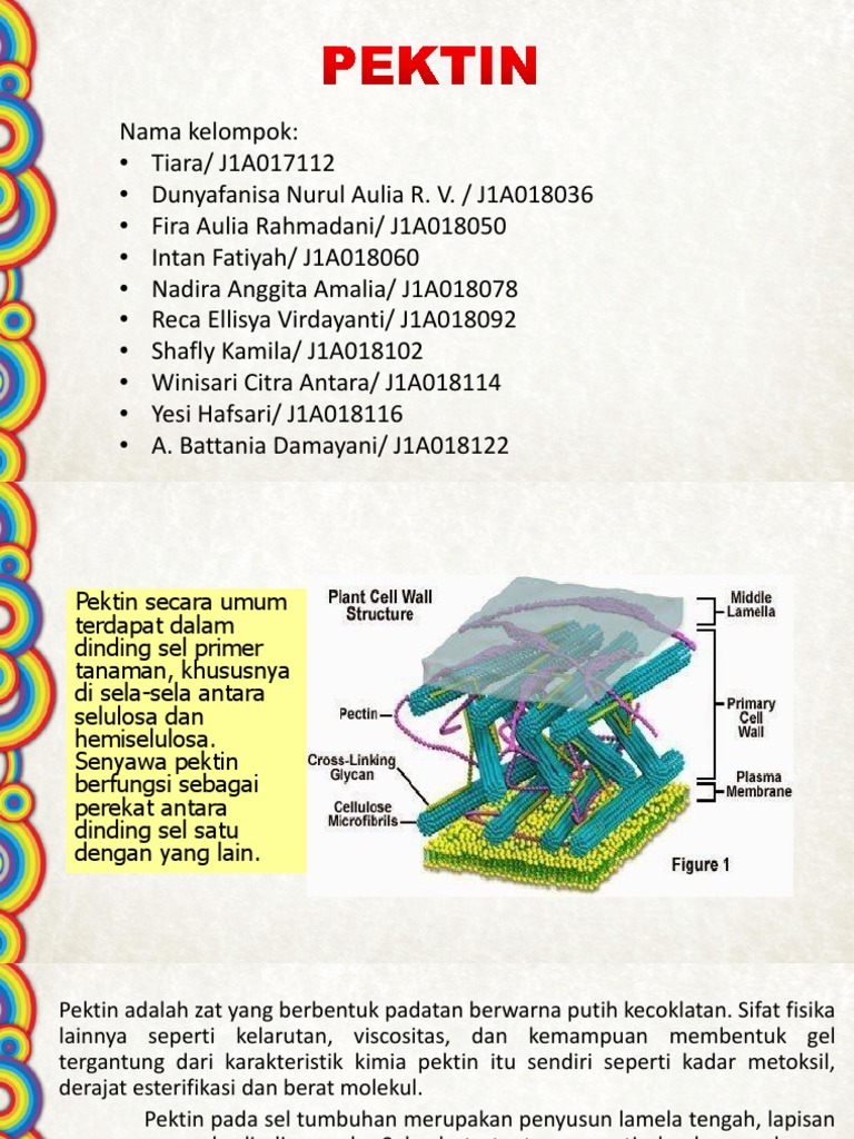 Fungsi dan Struktur Pektin pada Tumbuhan | PDF