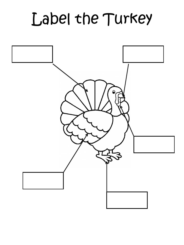 Labeling Parts of a Turkey | PDF