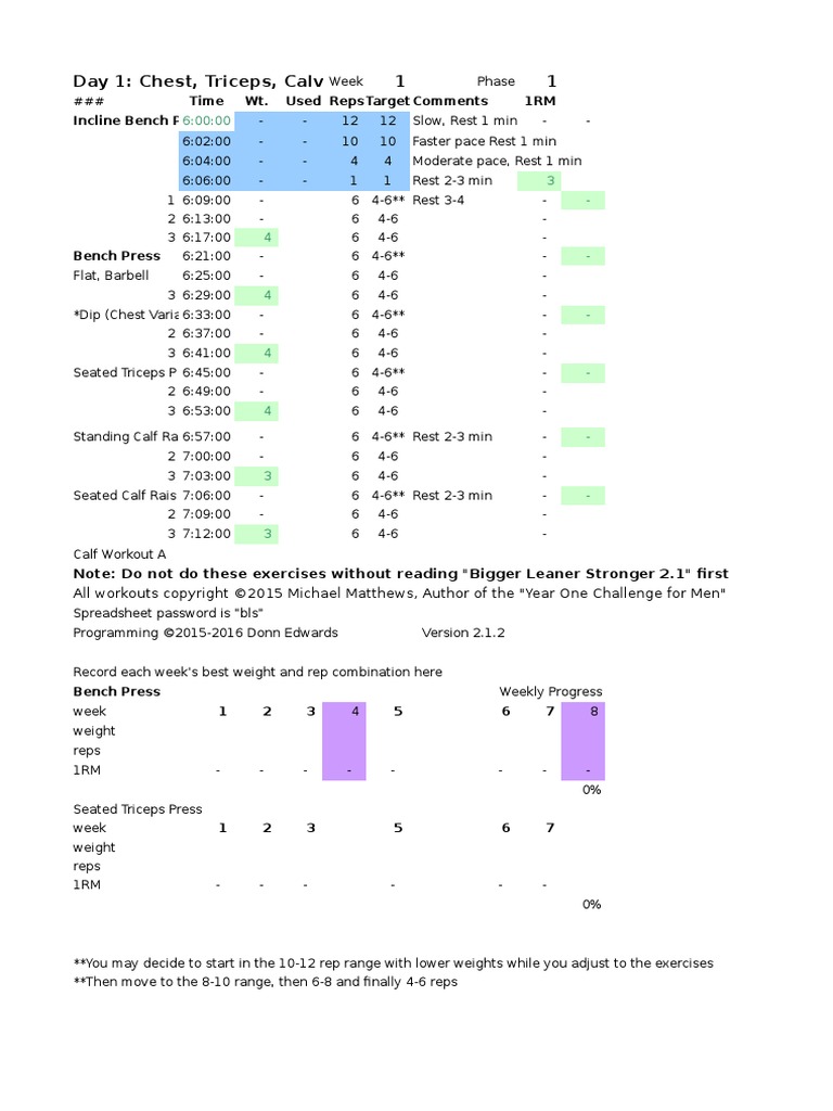Day 1: Chest, Triceps, Calv 1 1: Time Wt. Used Reps Target Comments 1RM Incline Bench P | PDF ...