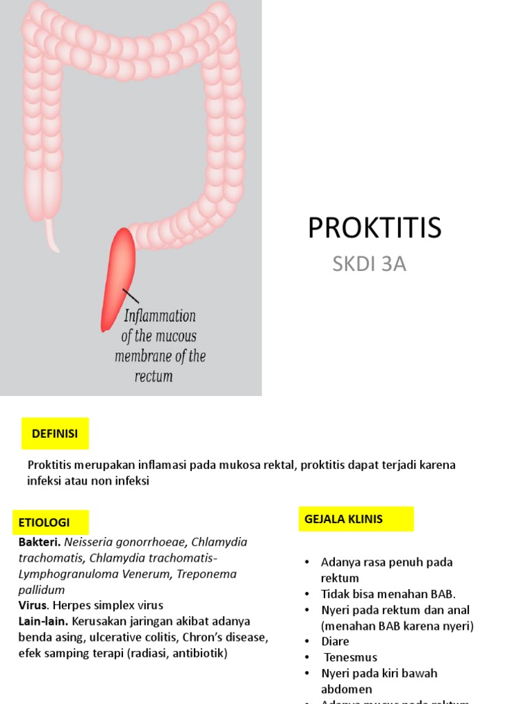 Proktitis - Jelita Lani Kogoya - 0120840142 | PDF