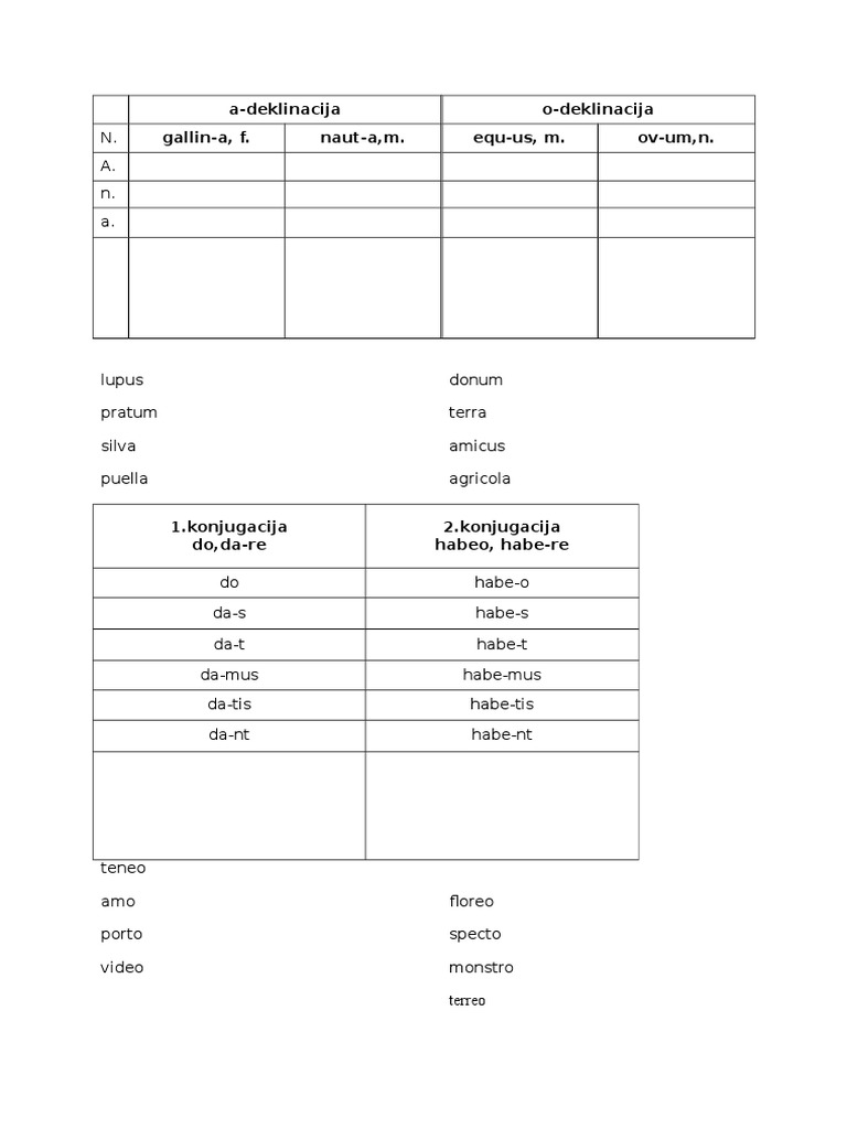 Deklinacija Konjugacija | PDF