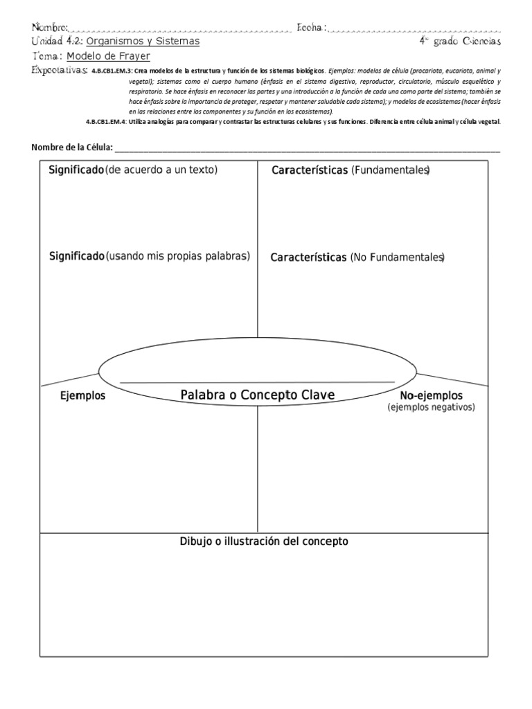 Modelo de Frayer (Celulas) | PDF | Vacuole | Biología Celular)