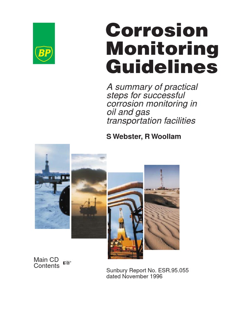 Corrosion Monit Guidelines | PDF | Corrosion | Risk