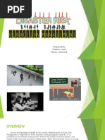 Roles and Responsibilities of Local DRRM Officers | PDF | Disaster Risk ...