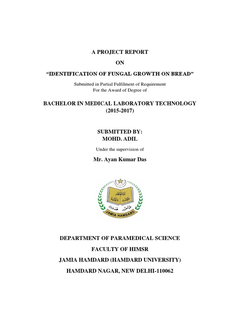 My Project Report | PDF | Mold | Aspergillus